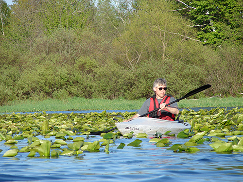 Kayaking the Kawkawlin Flooding
