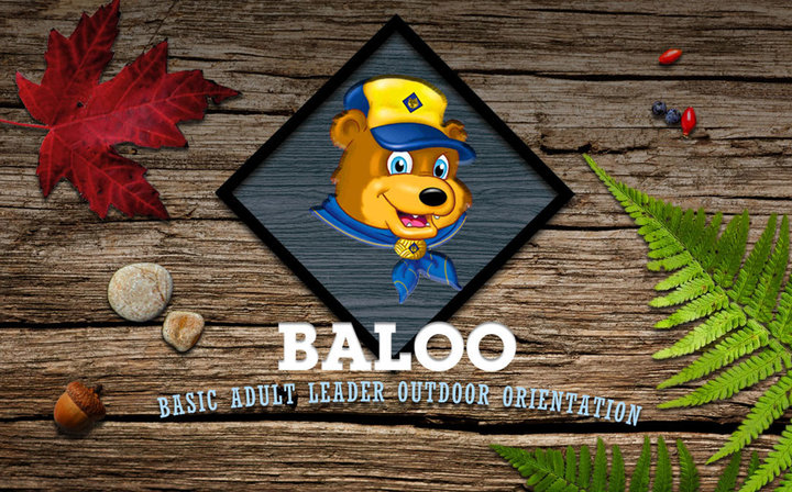 CANCELLED: 2019 Cub Scout Leader BALOO Training