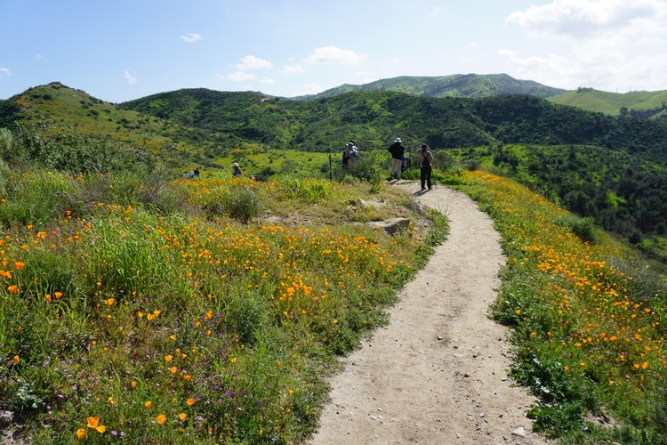 June Hike Weir Canyon