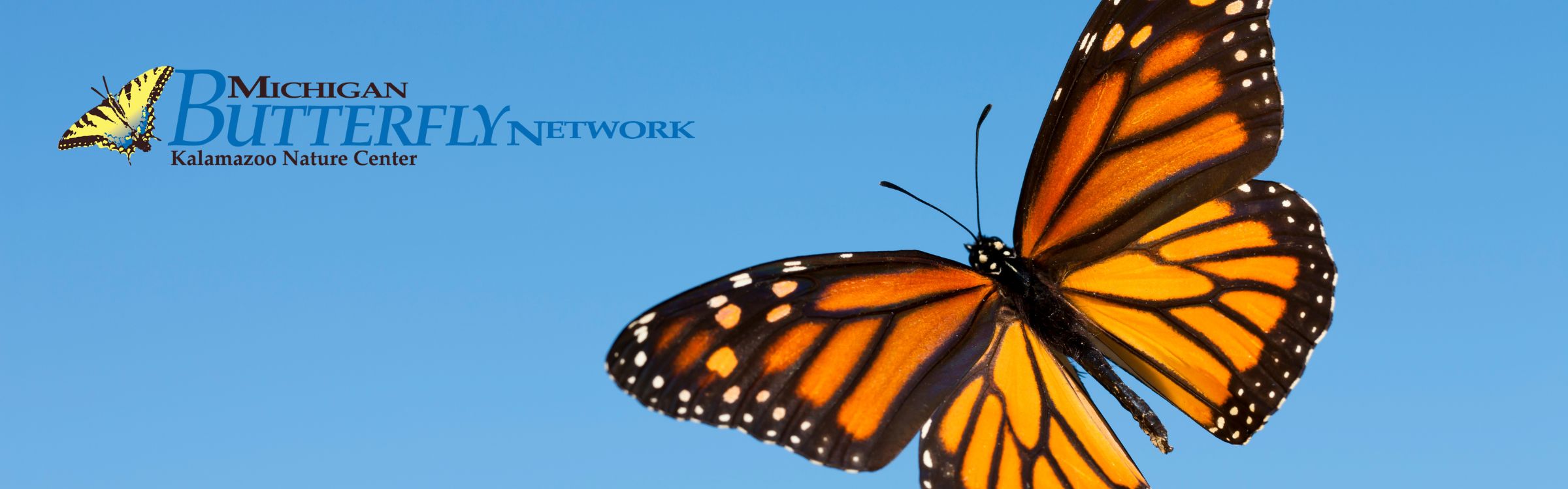 Michigan Butterfly Network eNews Fall Edition