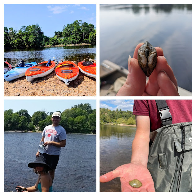 River Detectives: Mussels