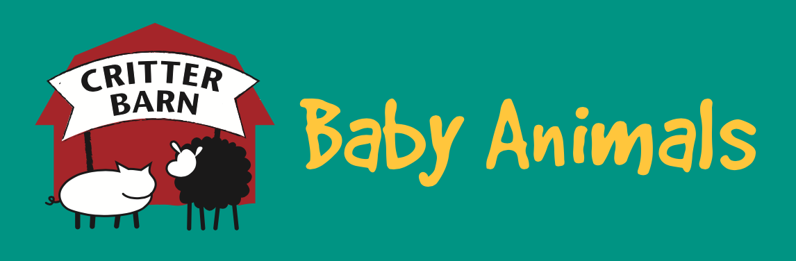 Hello Critter Barn Friends!